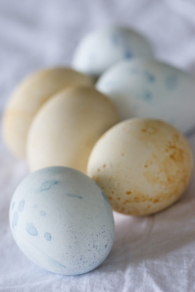 How to Naturally Dye Eggs For Spring | Easter Decorating - Essential Step